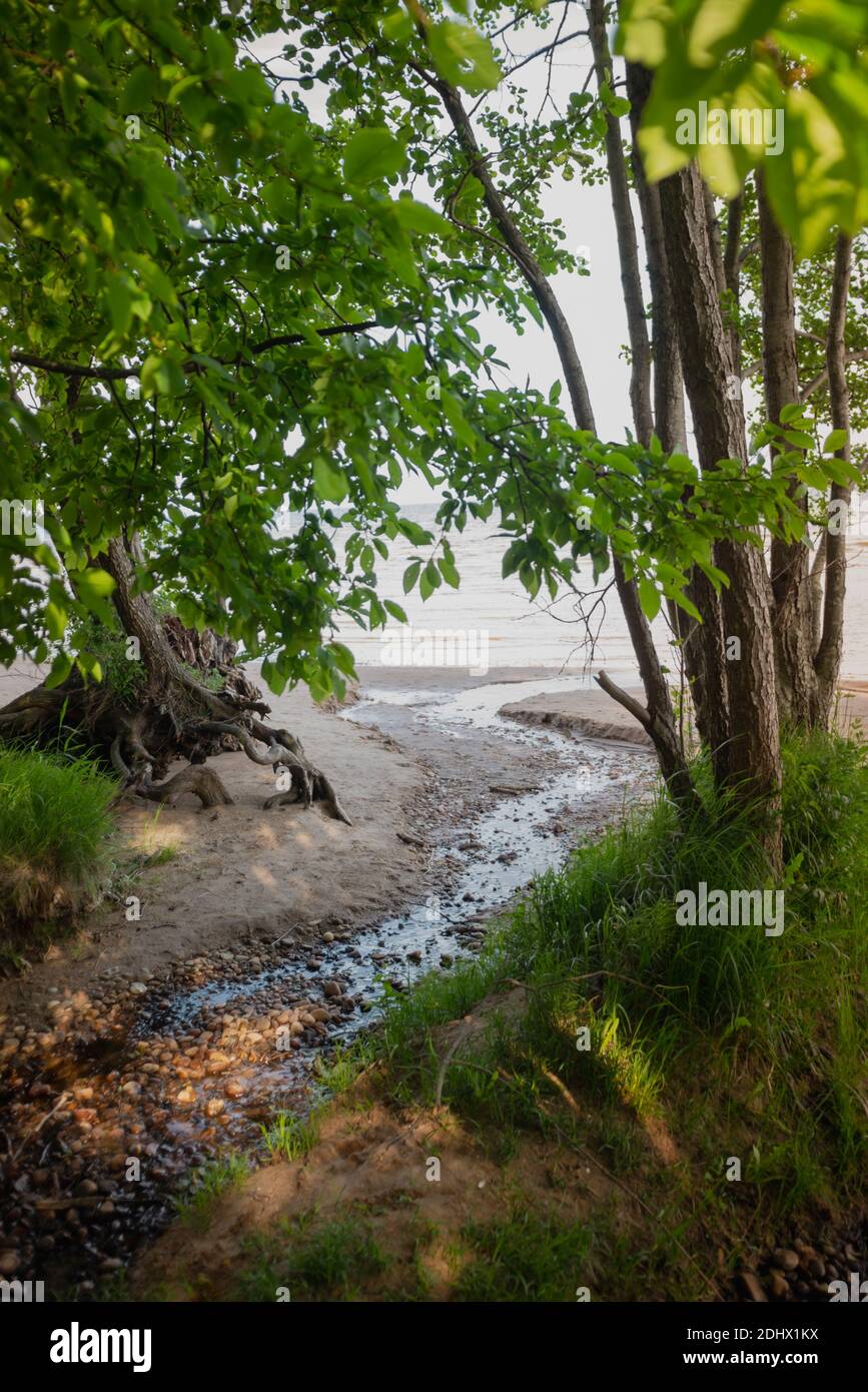 Primordial sea hi-res stock photography and images - Alamy