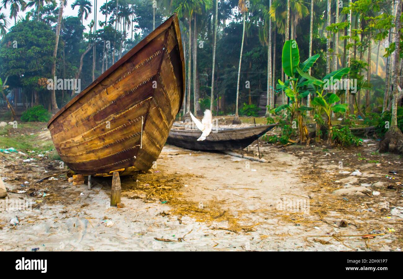 The bird fly by the side of the traditional boat, I captured this image ...