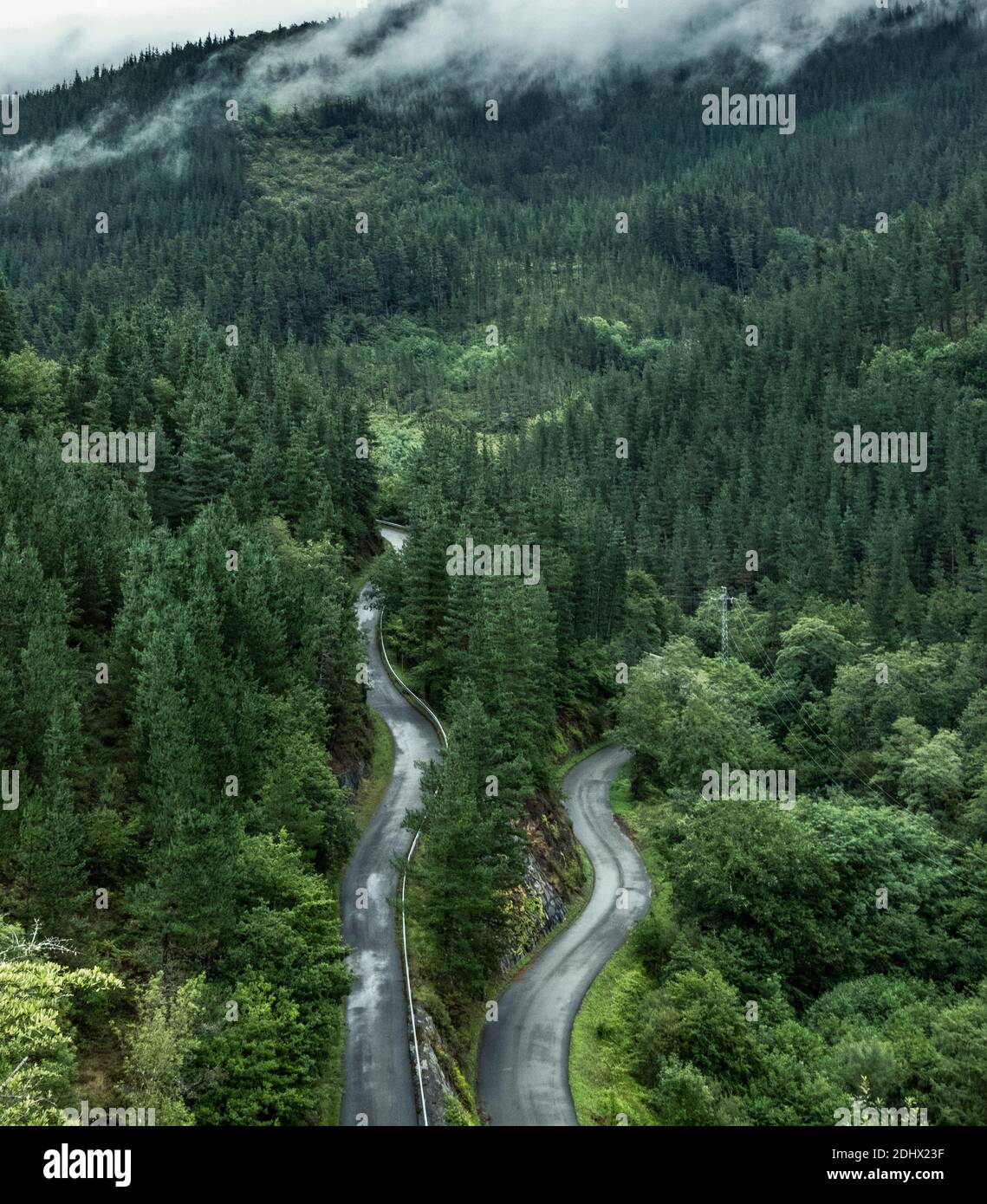 different paths in the mountain Stock Photo - Alamy