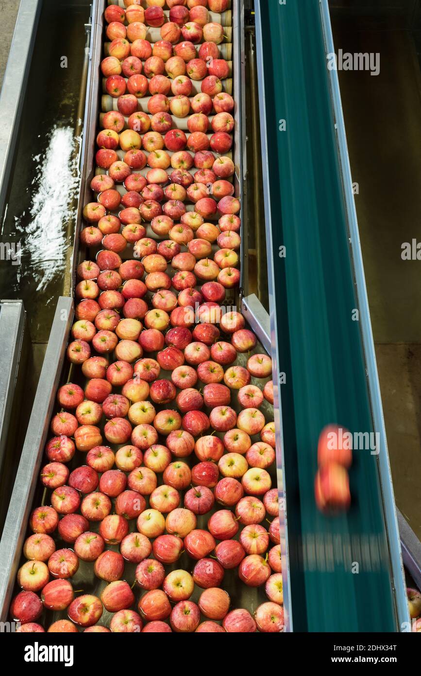 Lombardy italy agriculture hi-res stock photography and images - Alamy