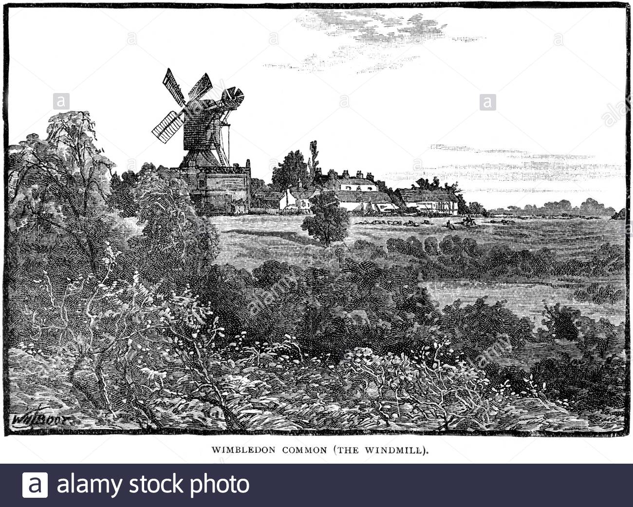 Wimbledon Common and windmill, London, vintage illustration from the ...