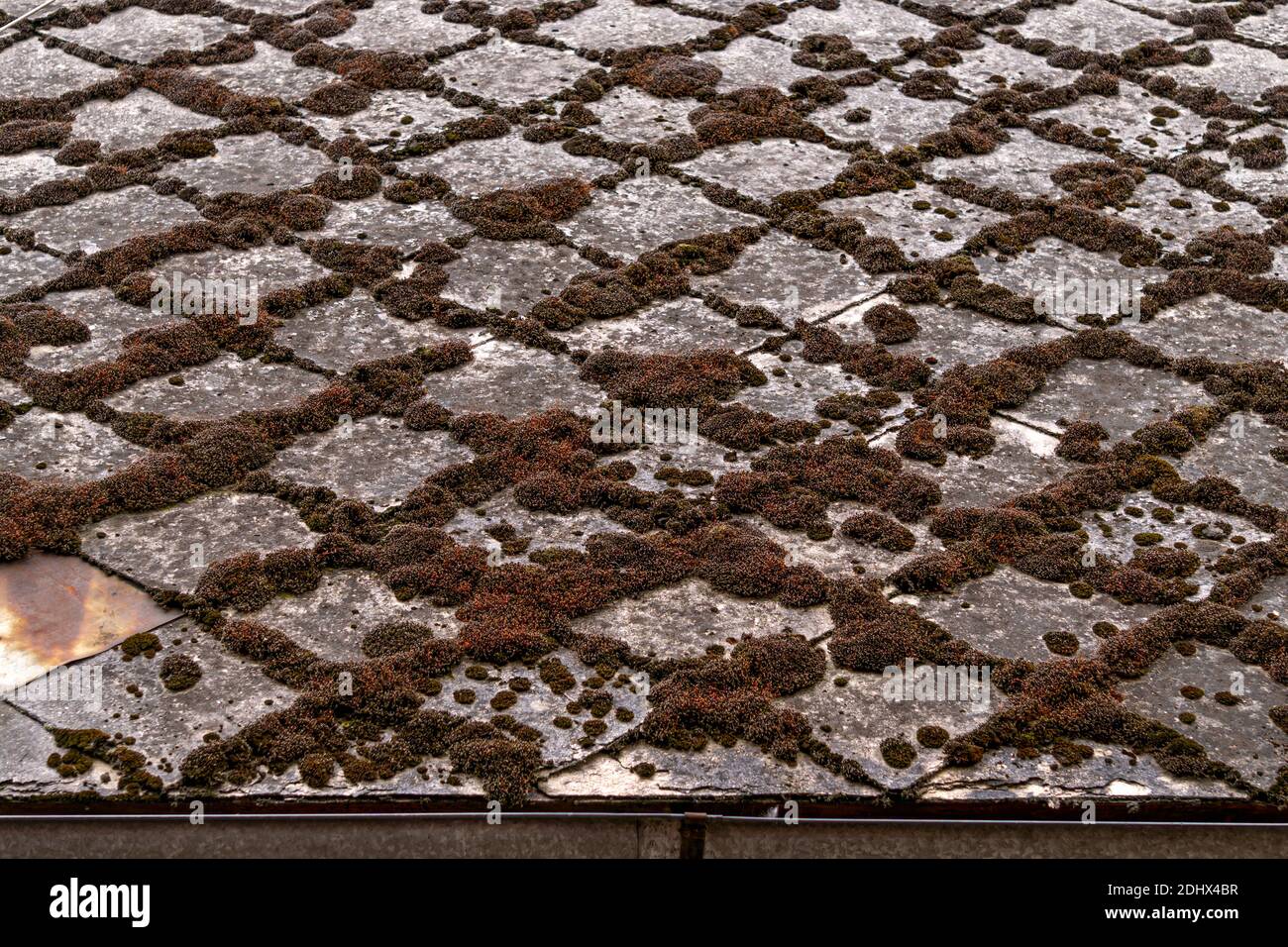 Dirty roof hi-res stock photography and images - Alamy