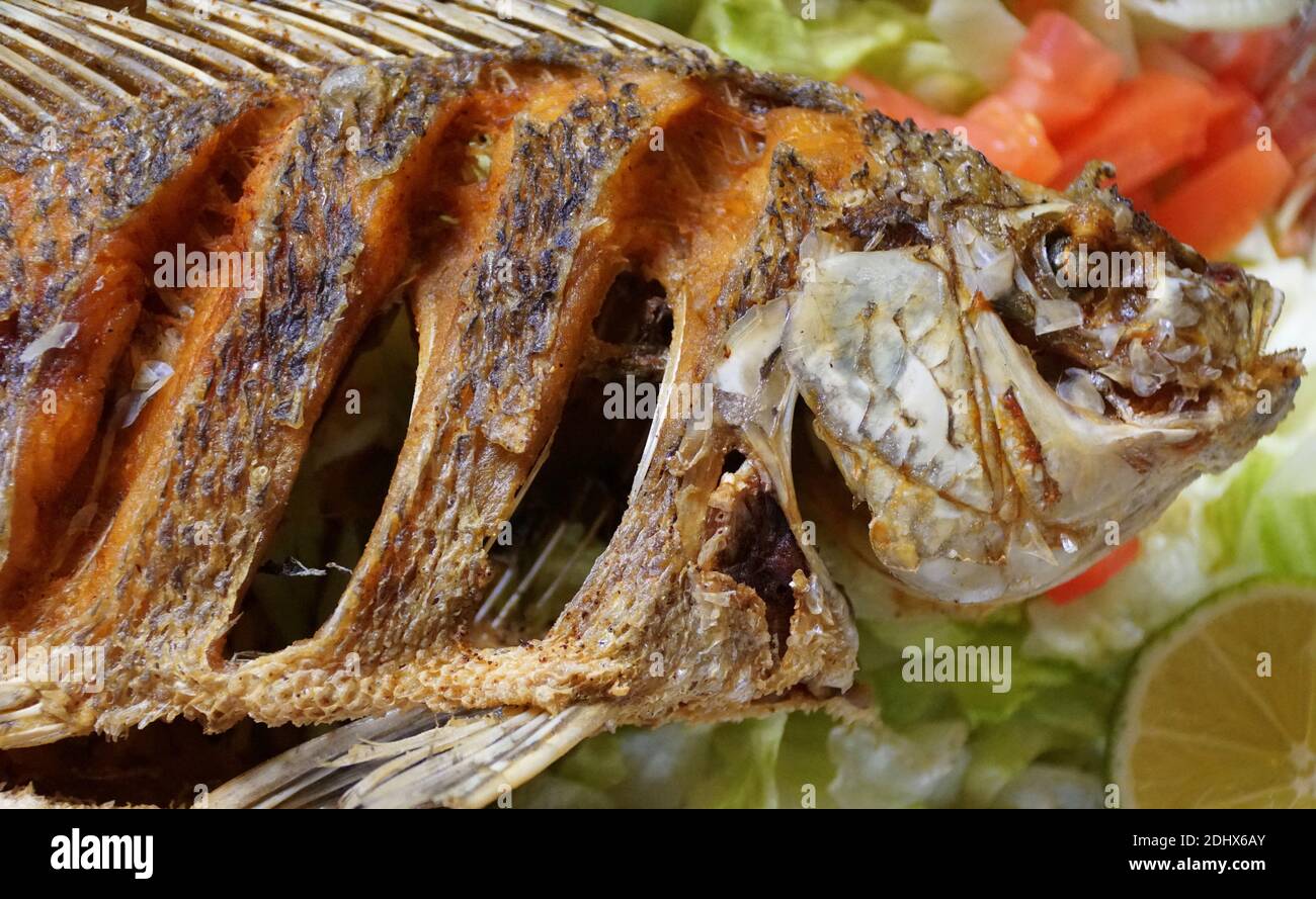 Close up of a full size of a deep fried tilapia fish Stock Photo - Alamy