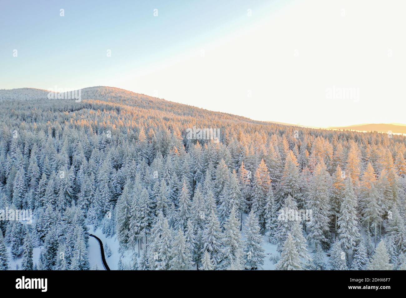 Peaceful snowy forest with sunrise over the mountains as background ...