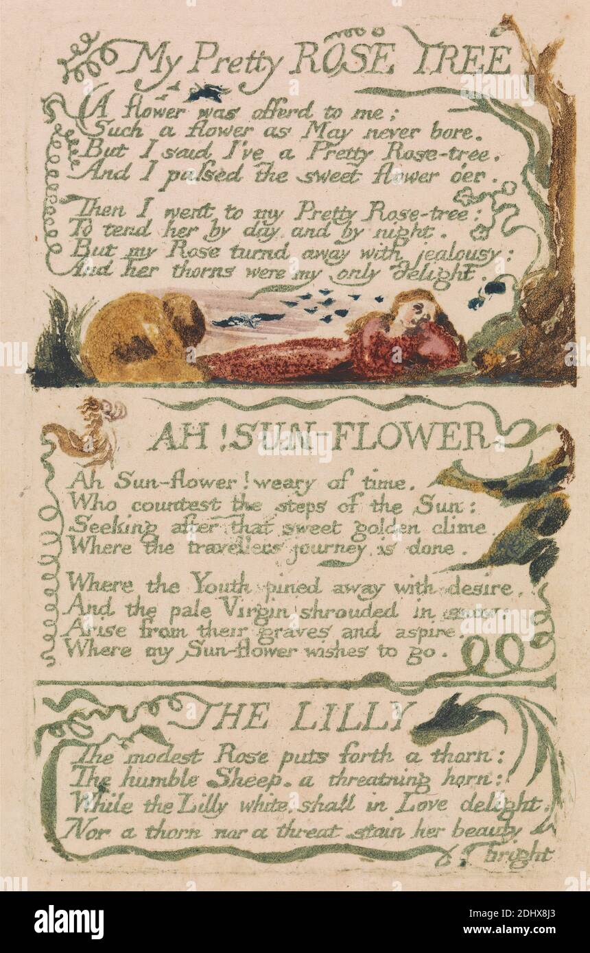 William blake songs of innocence rose hi-res stock photography and ...