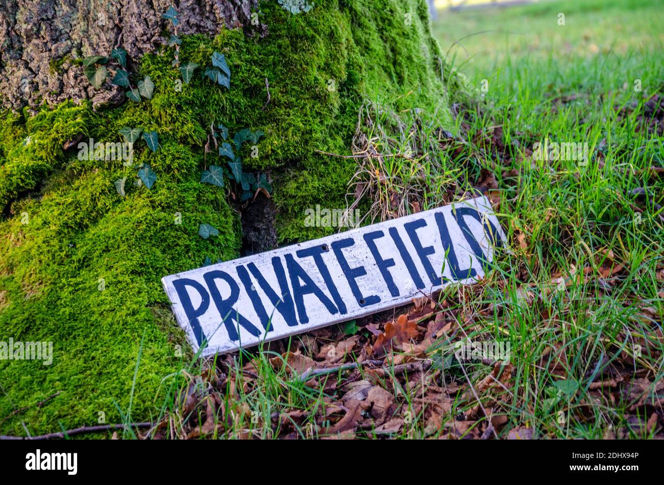 A sign at the base of a moss covered tree trunk starting that the field ...
