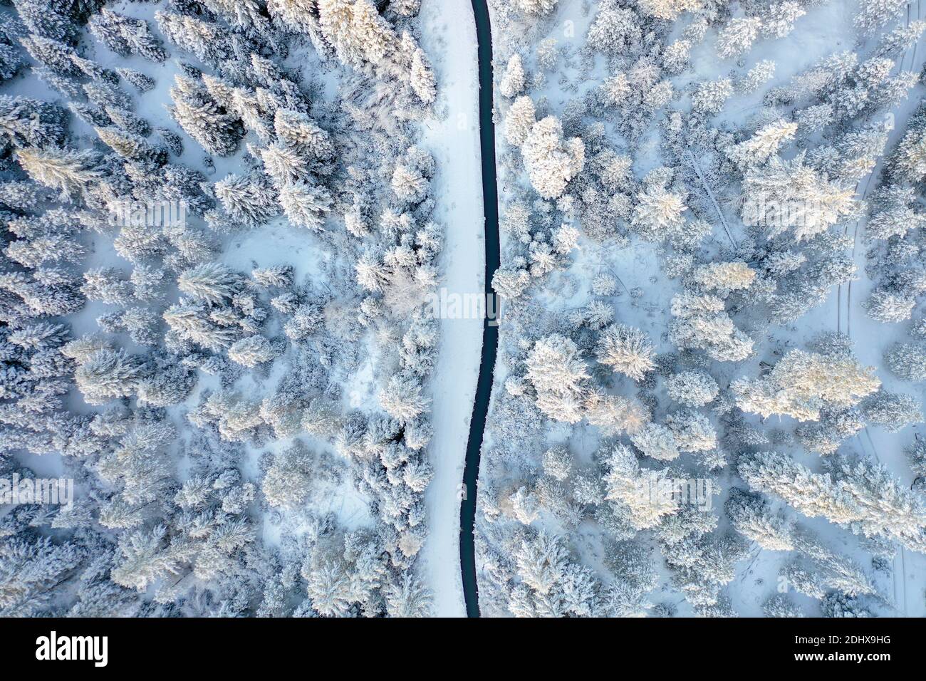 Narrow channel in the middle of a snowy forest Stock Photo - Alamy