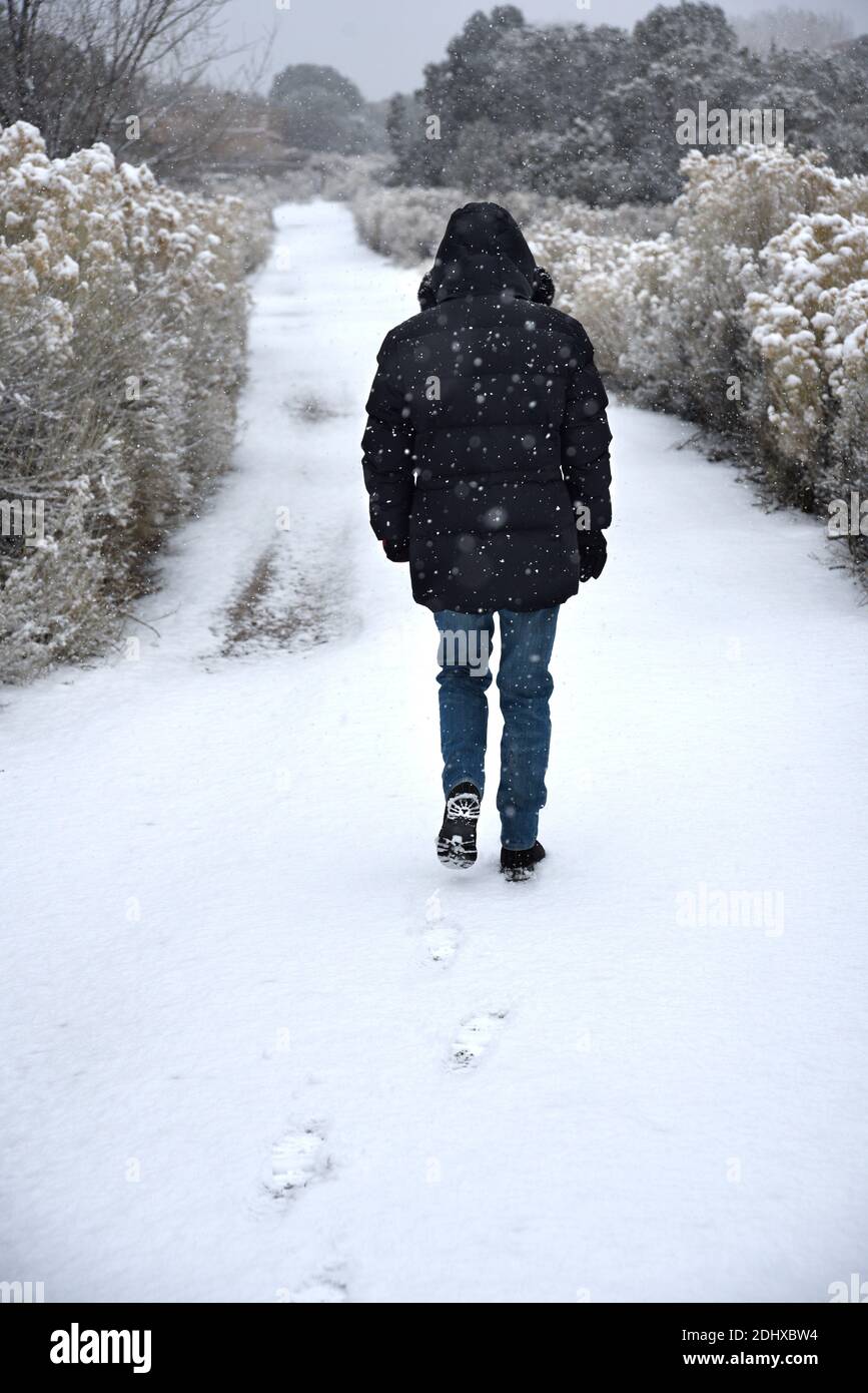 A woman walks alone along a snow-covered trail in Santa Fe, New Mexico ...