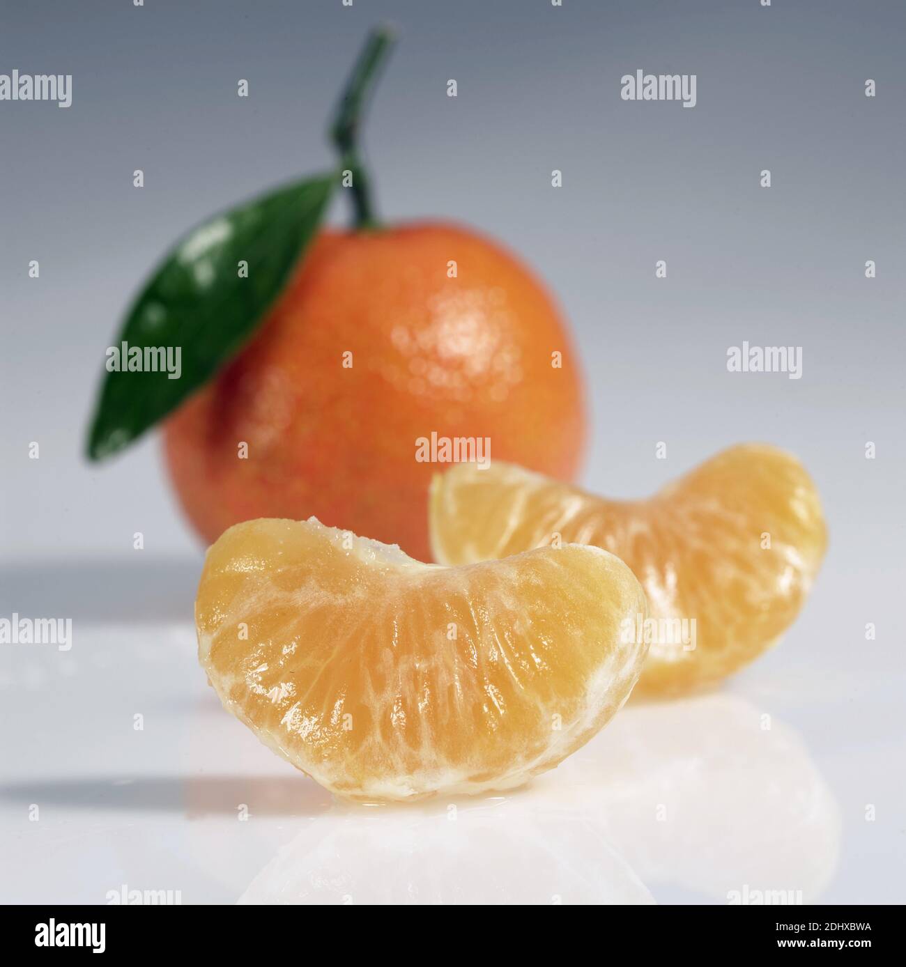 Clementine Fruits, citrus reticulata against White Background Stock Photo - Alamy