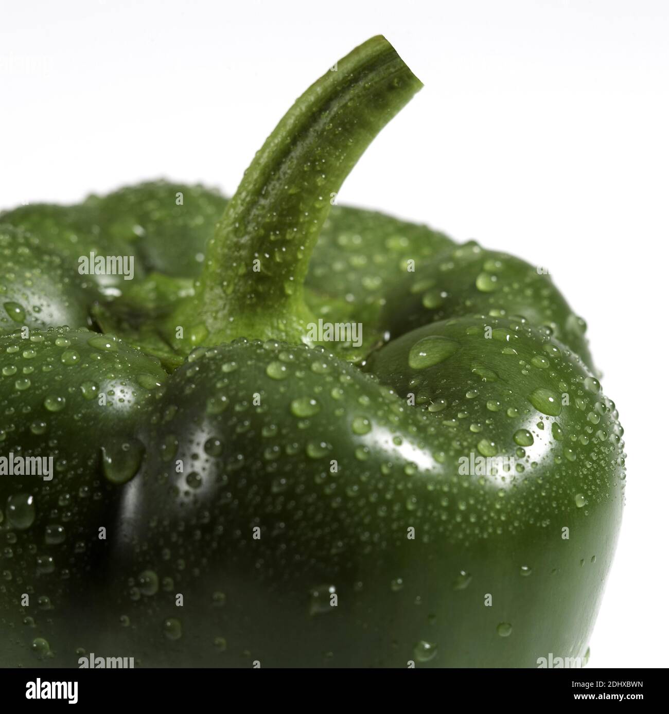 Sweet Green Pepper, capsicum annuum, Vegetable against White Background ...