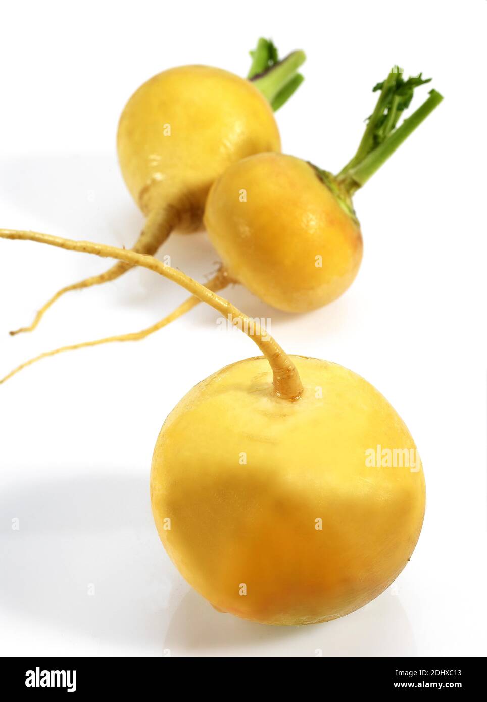 Golden Ball Turnips, brassica rapa, Vegetables against White Background ...
