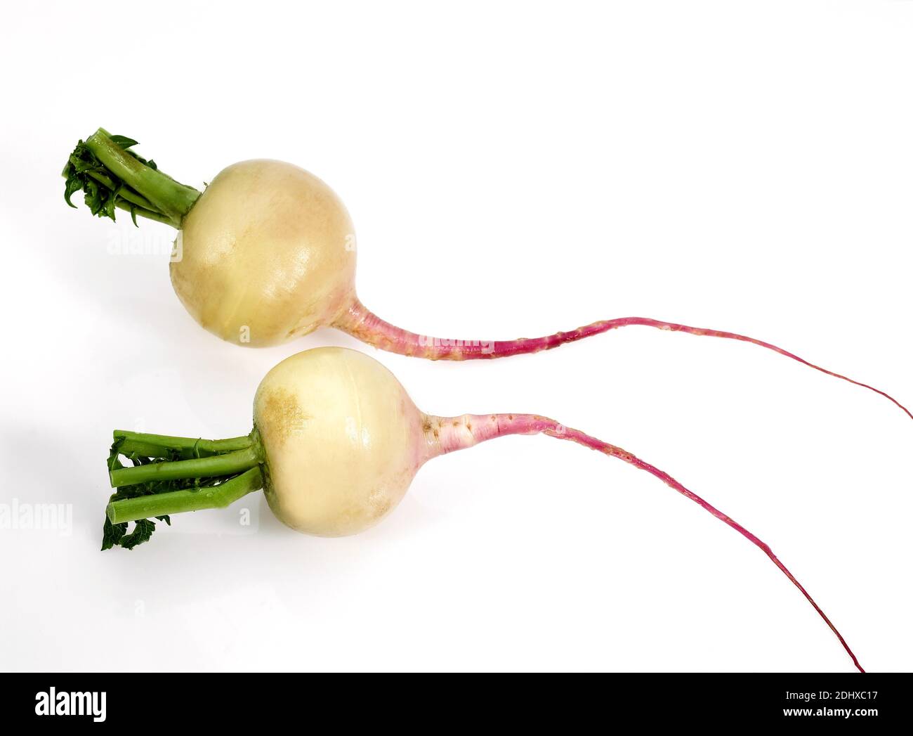 Turnips, brassica rapa, Vegetables against White Background Stock Photo ...