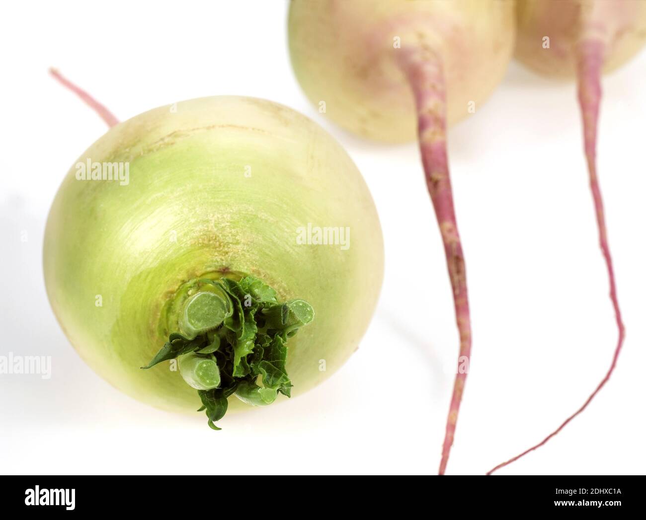 Turnips, brassica rapa, Vegetables against White Background Stock Photo ...