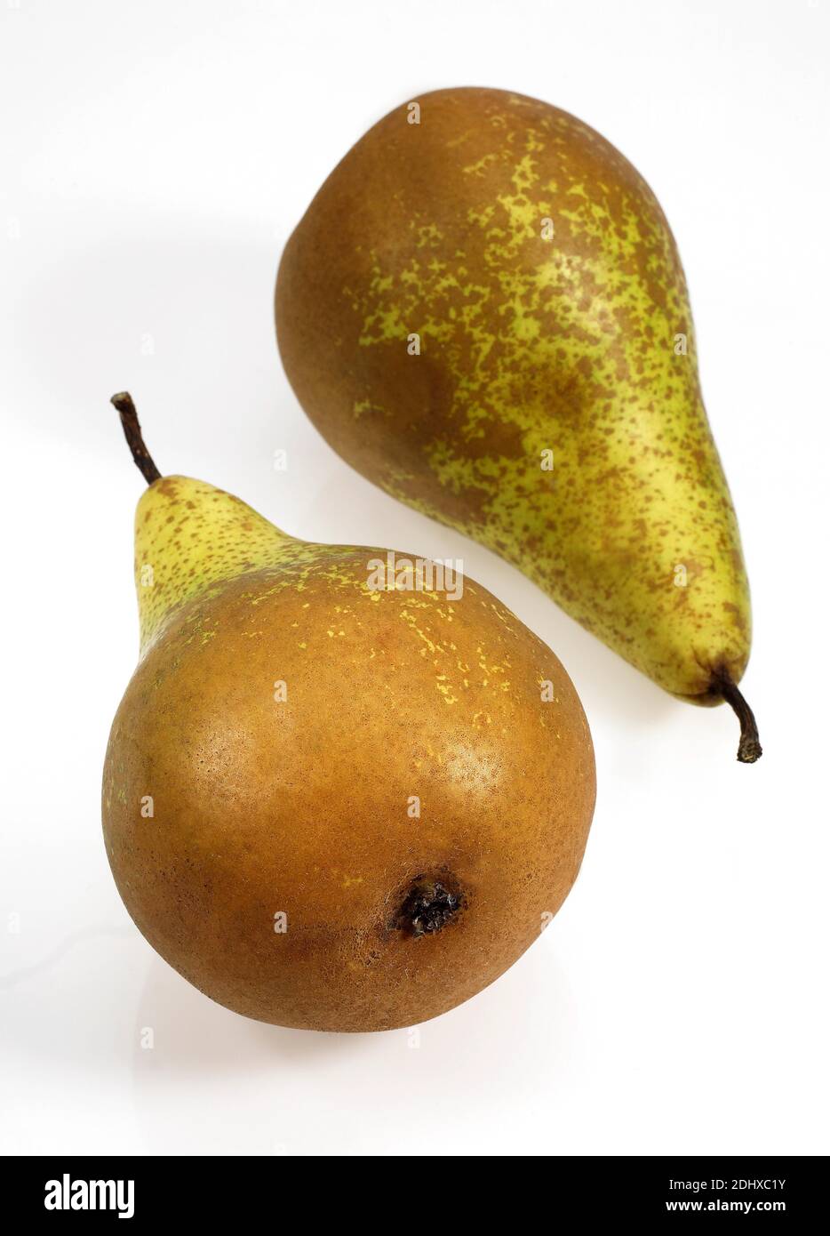 Conference Pear, pyrus communis, Fruits against White Background Stock ...