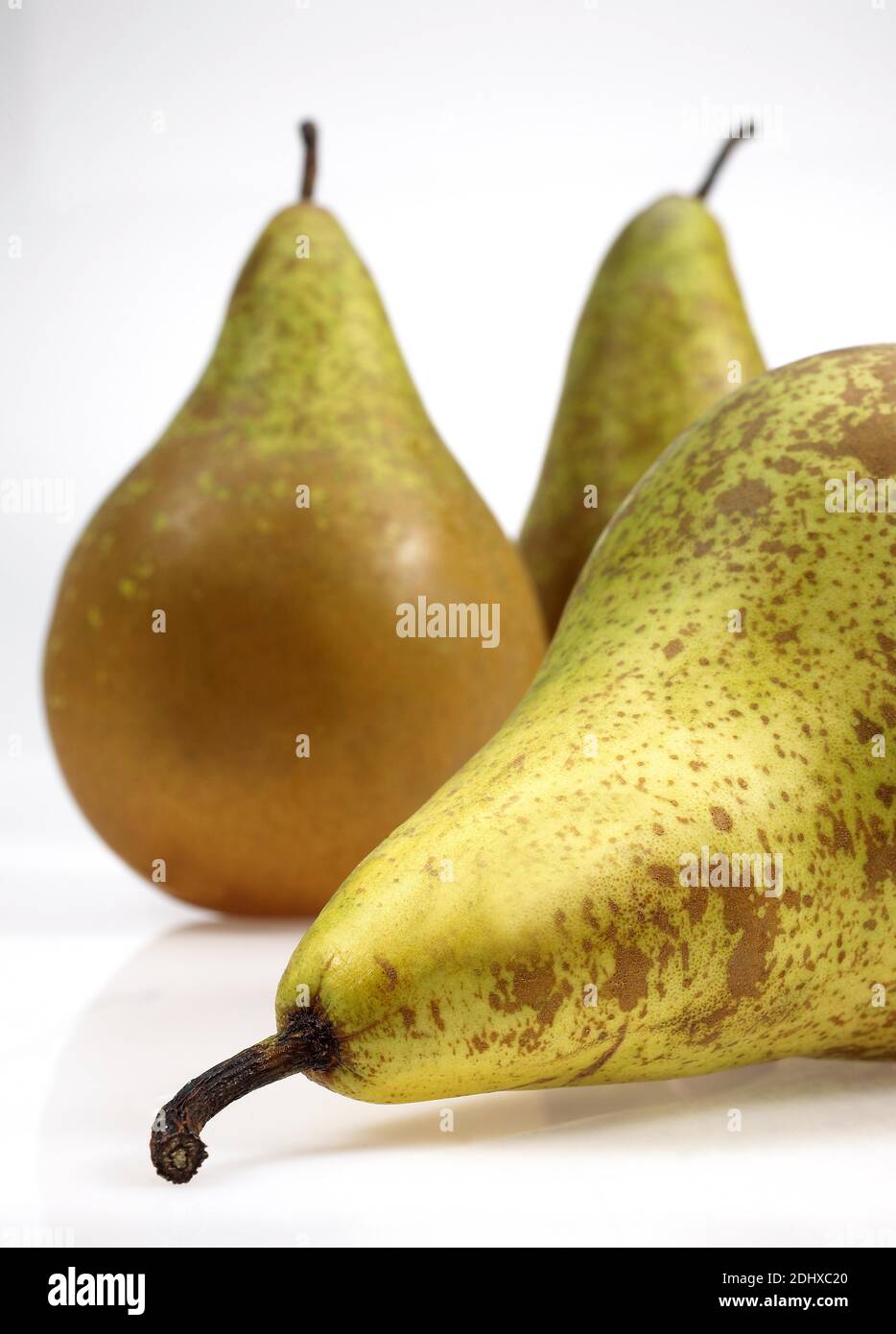 Conference Pear, pyrus communis, Fruits against White Background Stock ...
