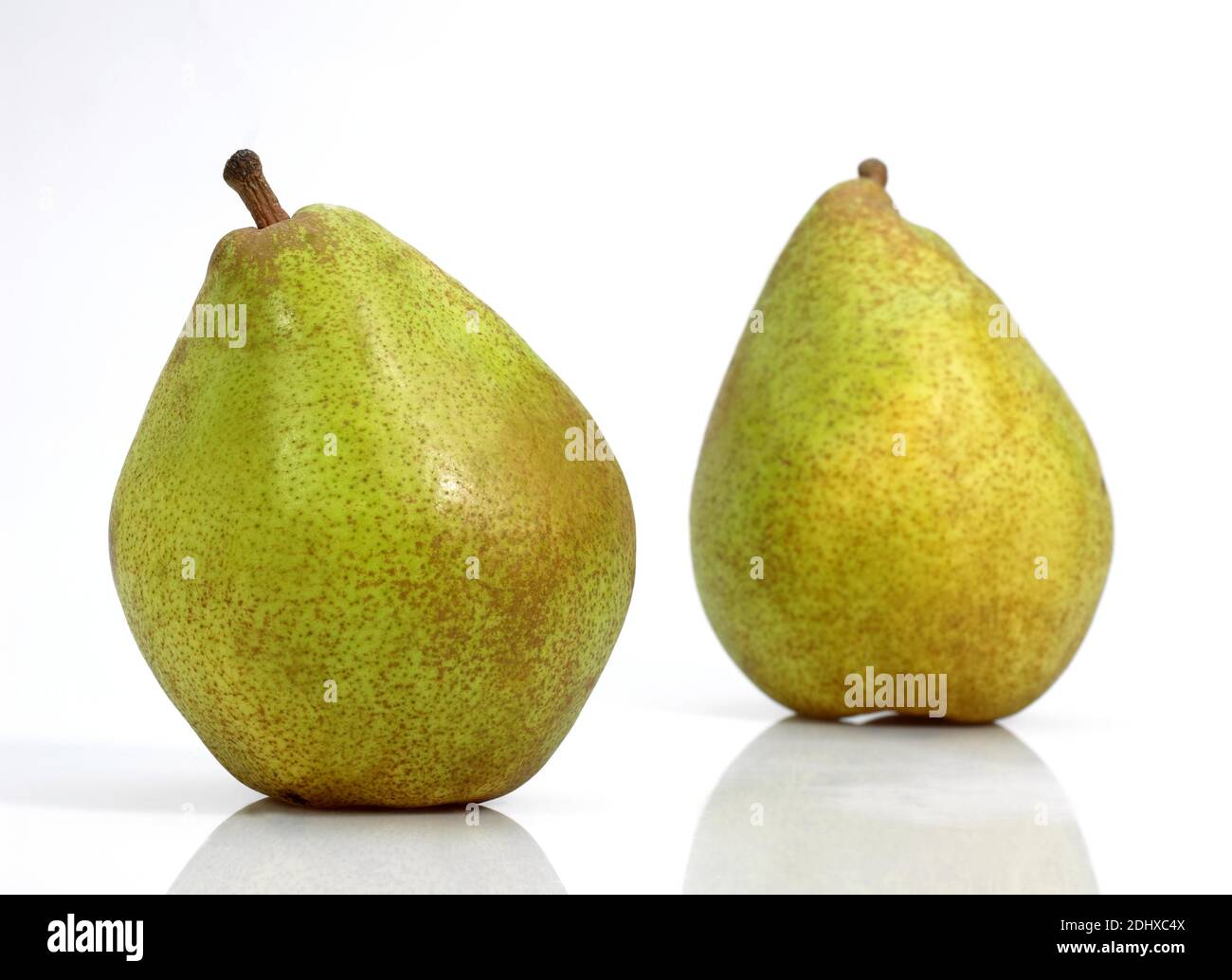 Comice Pear, pyrus communis, Fruits against White Background Stock ...