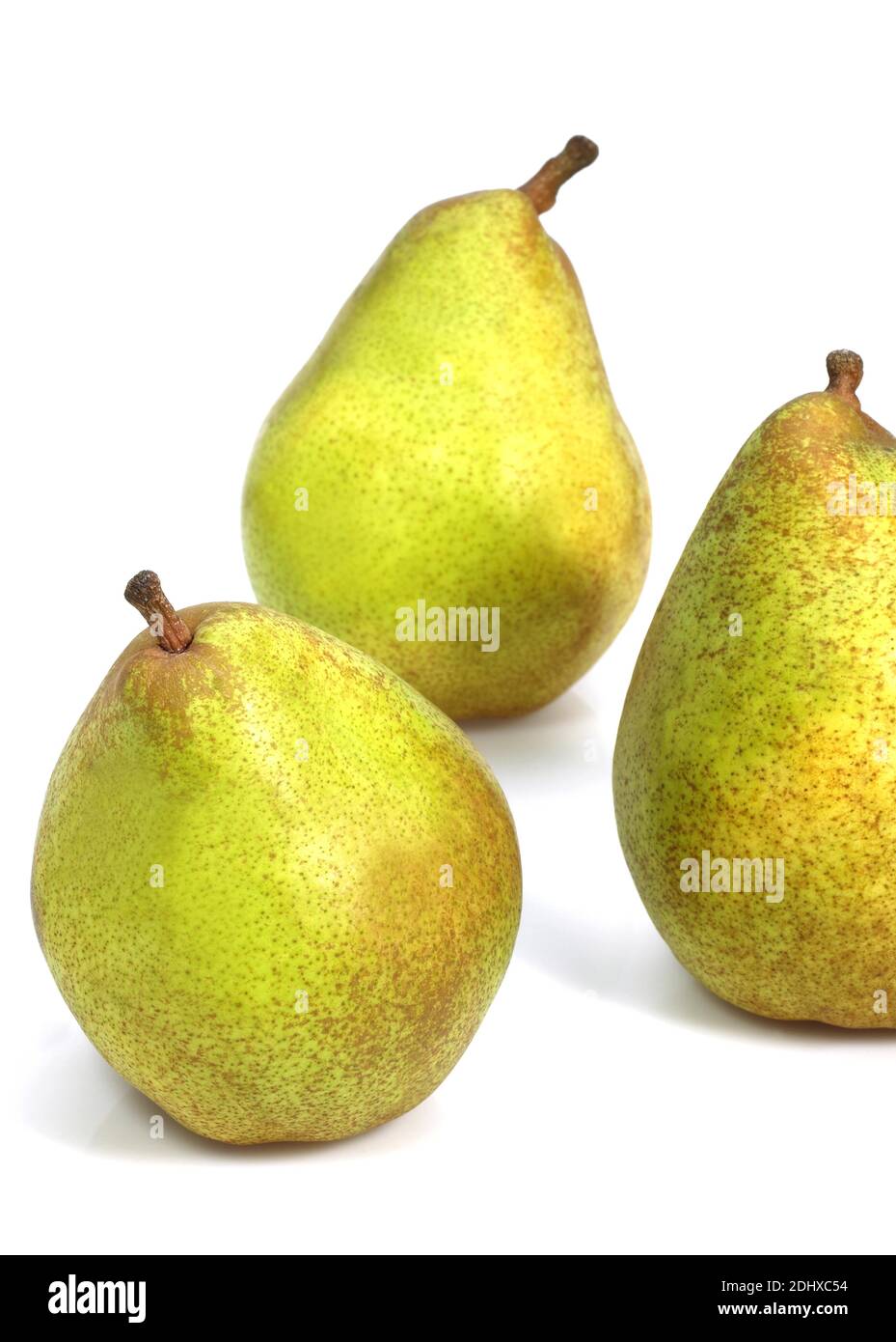Comice Pear, pyrus communis, Fruits against White Background Stock ...