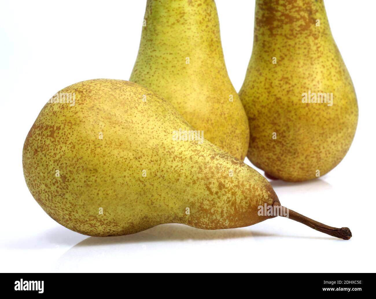 Conference Pear, pyrus communis, Fruits against White Background Stock ...