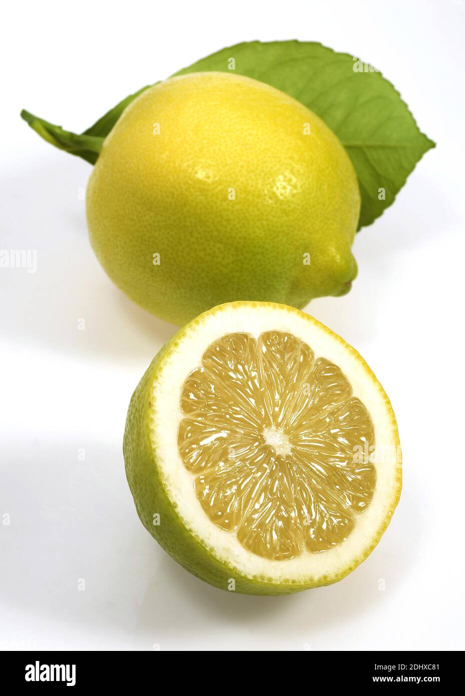 Yellow Lemon, citrus limonum, Fruits against White Background Stock ...