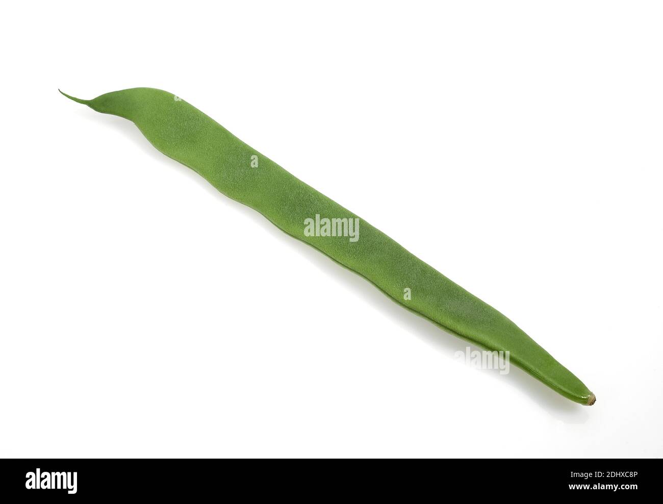 French Beans called Coco Plat, phaseolus vulgaris against White ...