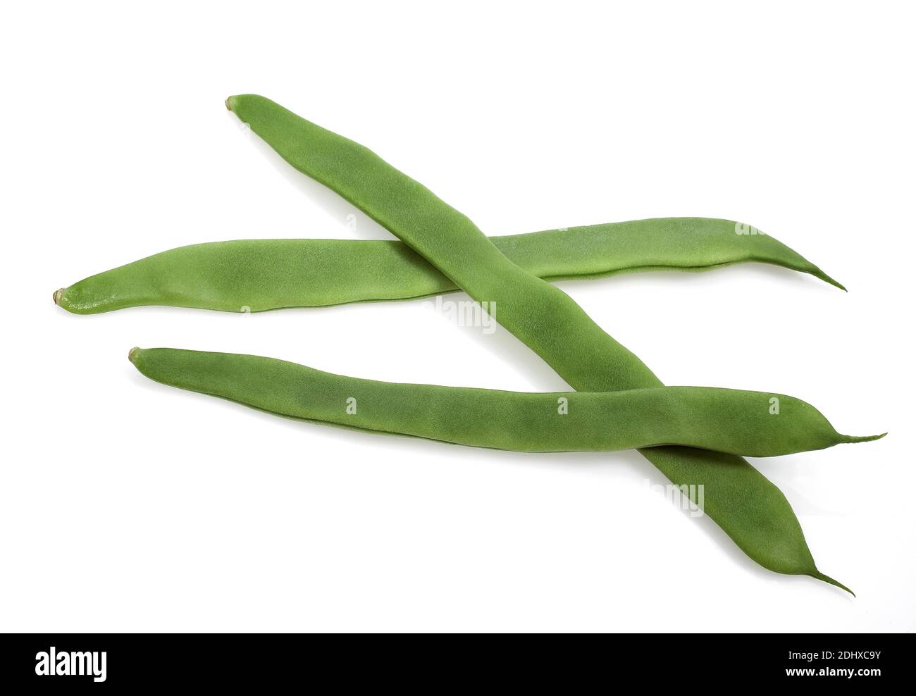 French Beans called Coco Plat, phaseolus vulgaris, Beans against White ...