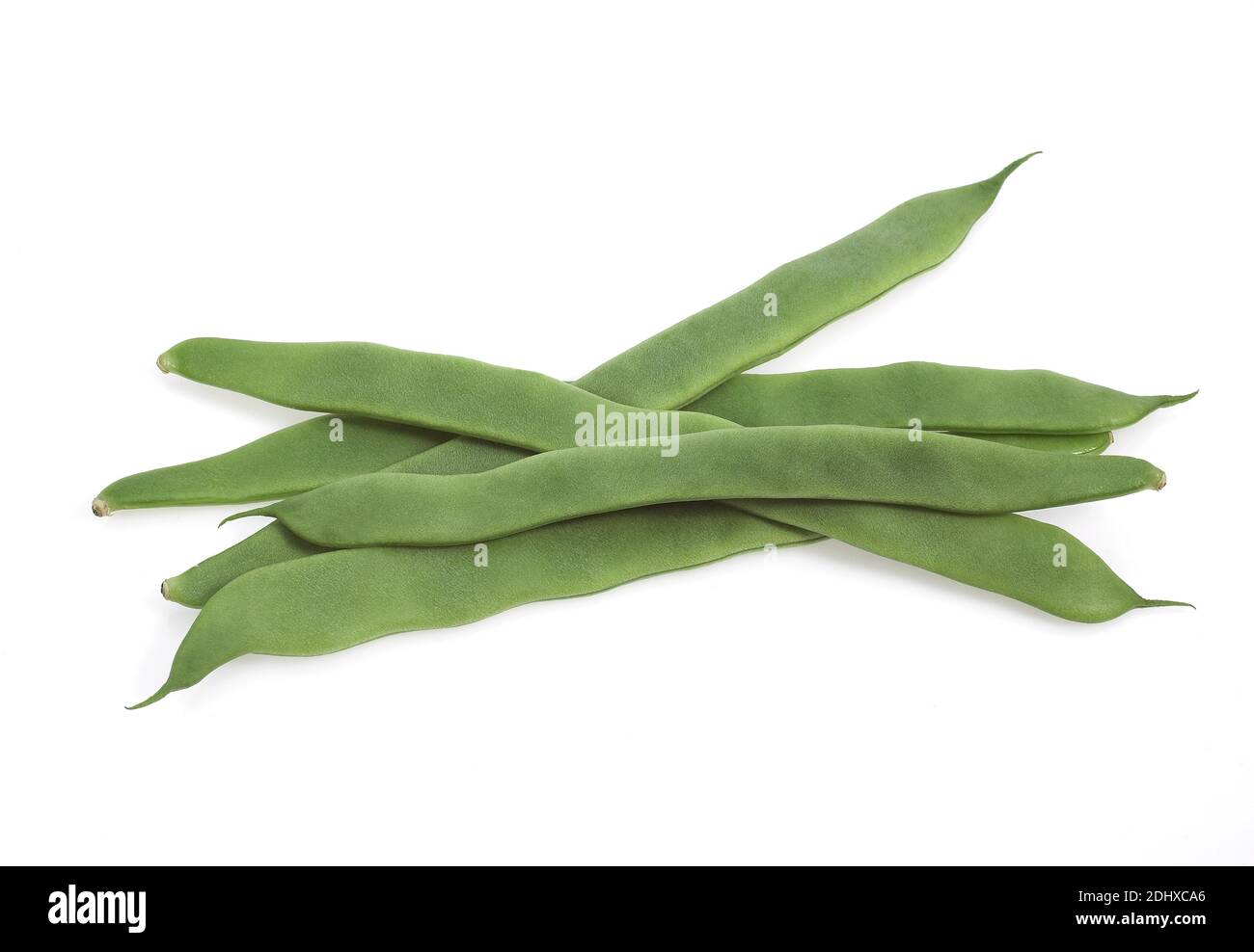 French Beans called Coco Plat, phaseolus vulgaris, Beans against White ...