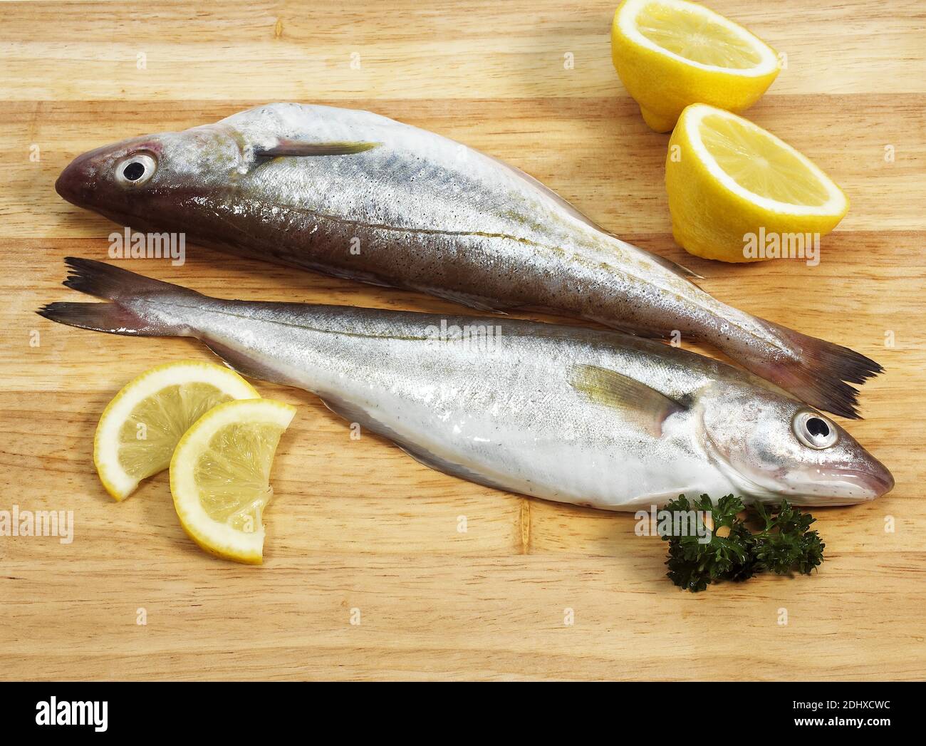 Whiting merlangius merlangus fresh hi-res stock photography and images ...