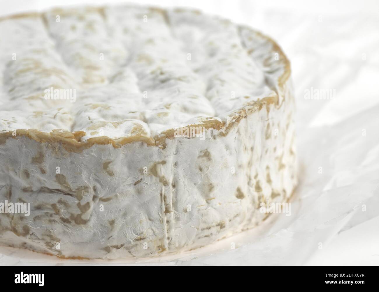 Camembert, French Cheese produced in Normandy from Cow's Milk Stock ...