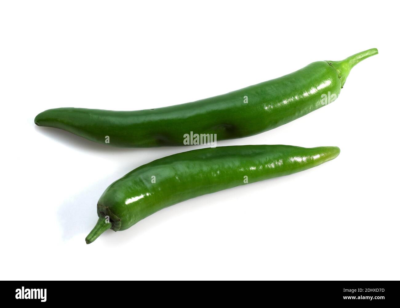 Green Chili Pepper, capsicum annuum against White Background Stock ...