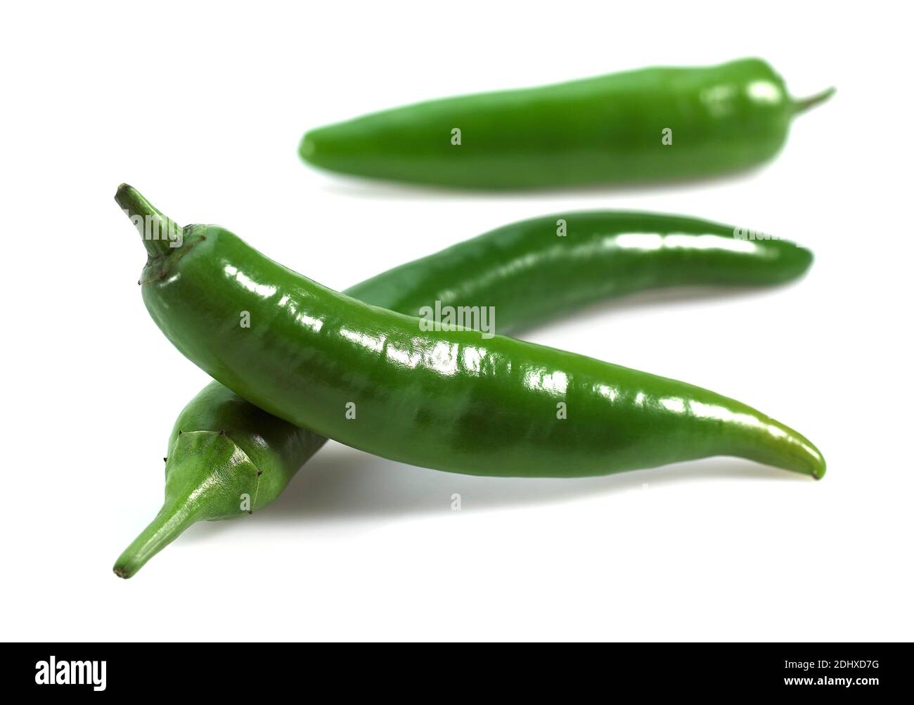 Green Chili Pepper, capsicum annuum against White Background Stock ...