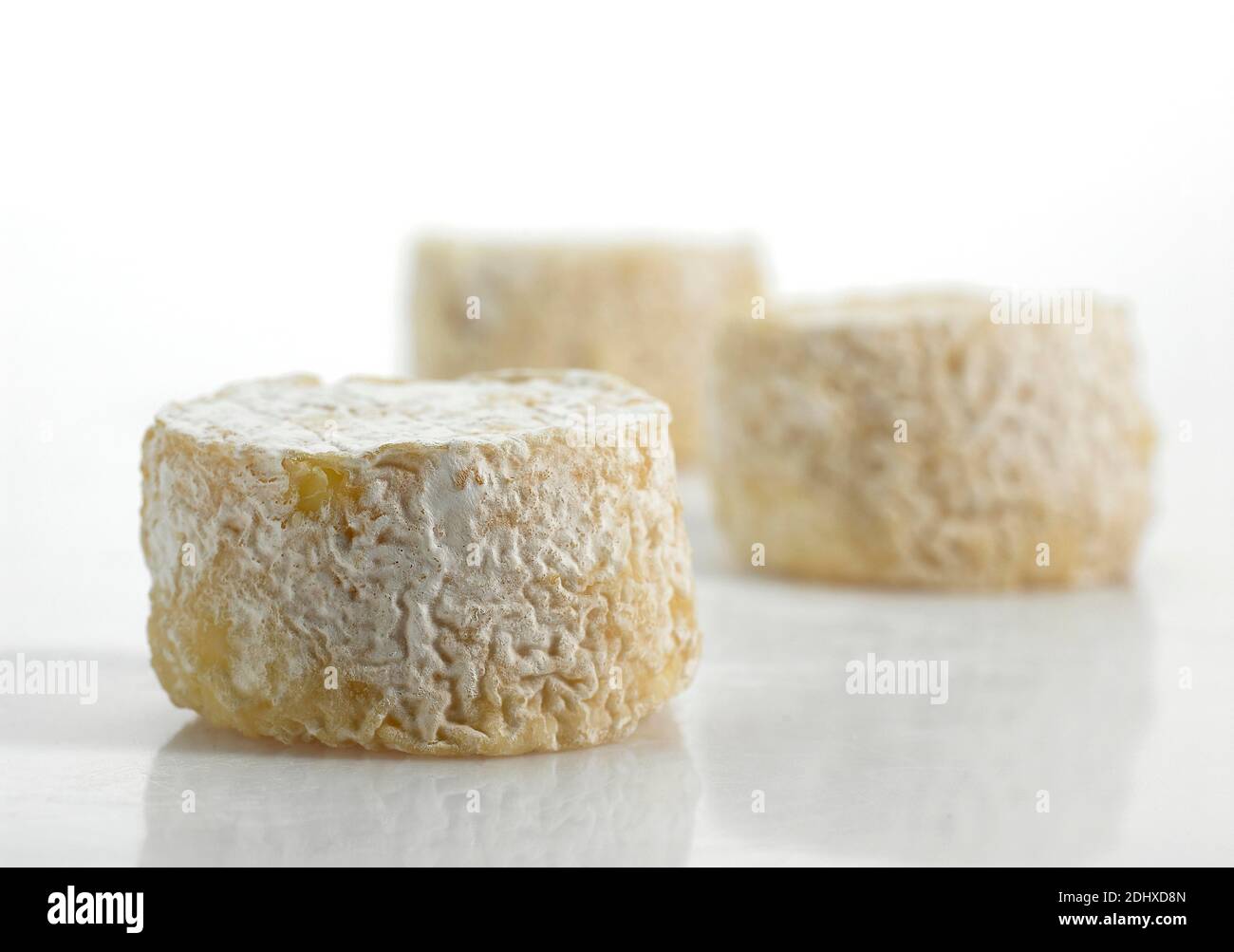French Goat Cheese called Crottin Stock Photo - Alamy