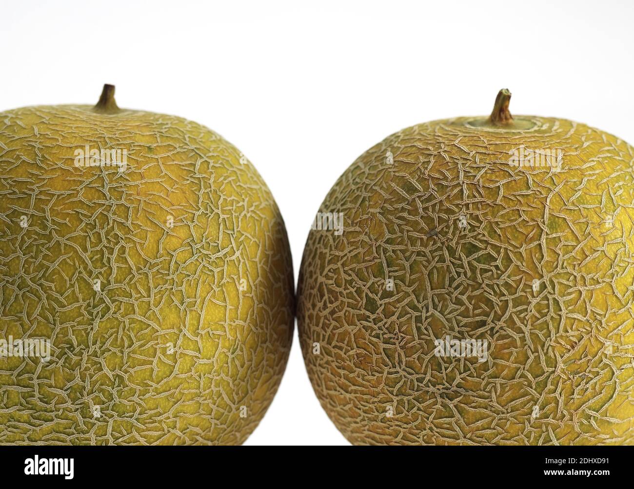 Italian Melon, cucumis melo, Fruits against White Background Stock ...