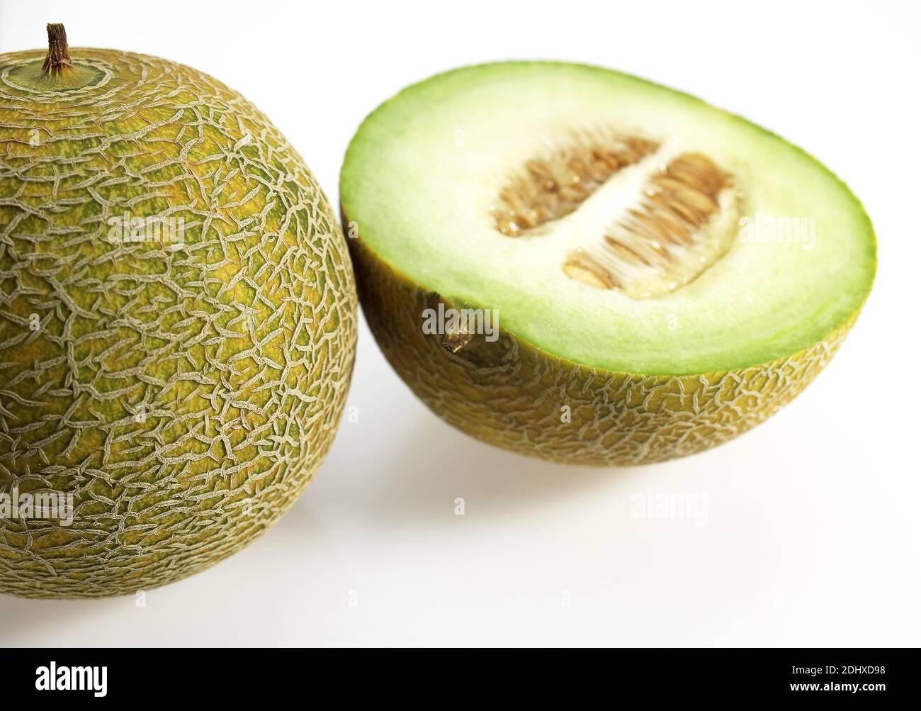 Italian Melon, cucumis melo, Fruits against White Background Stock ...