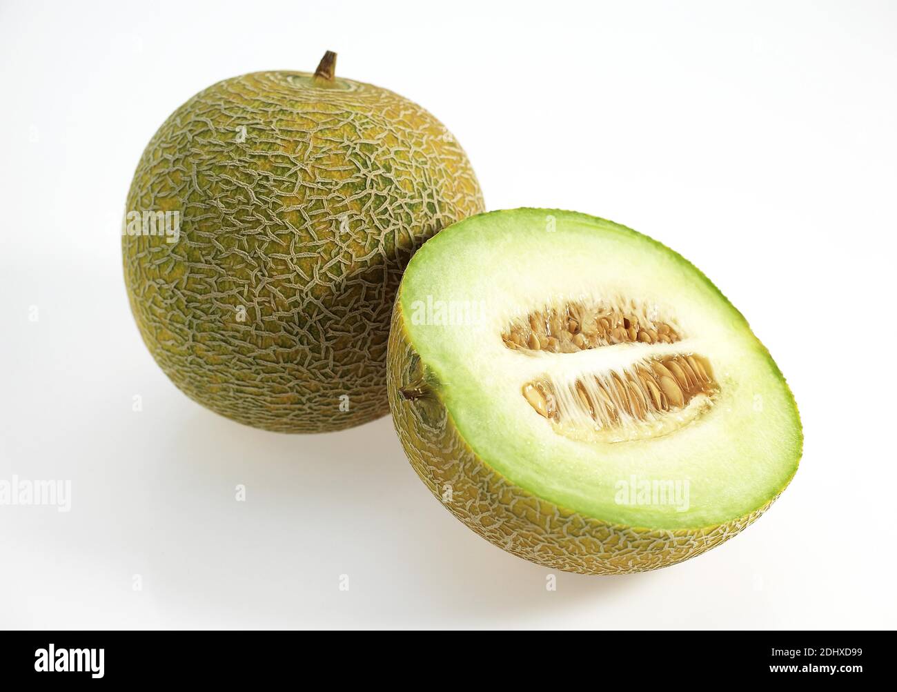 Italian Melon, cucumis melo, Fruits against White Background Stock ...