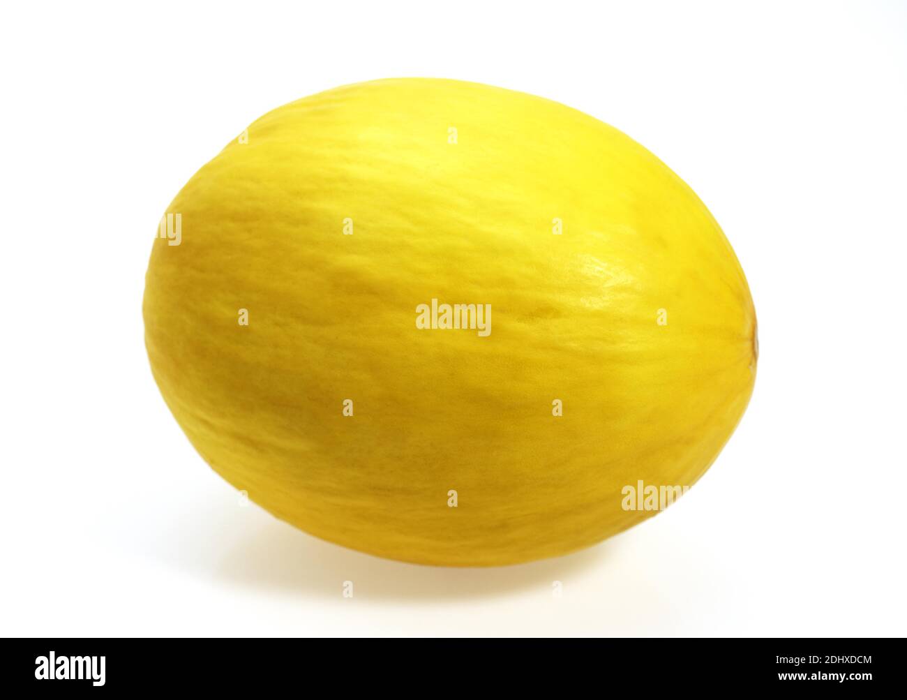 Yellow Spanish Melon, cucumis melo, Fruit against White Background ...