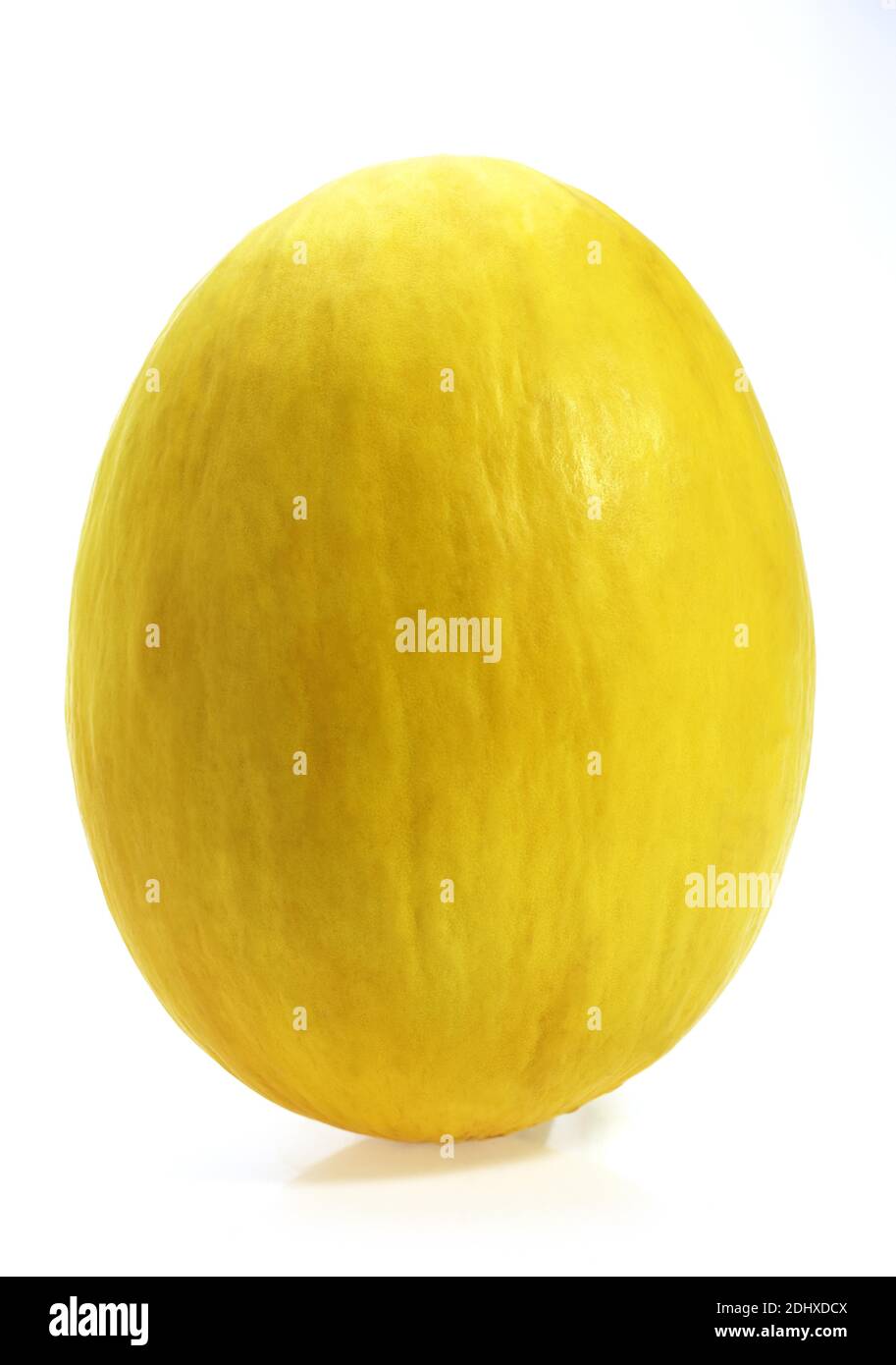 Yellow Spanish Melon, cucumis melo, Fruit against White Background ...