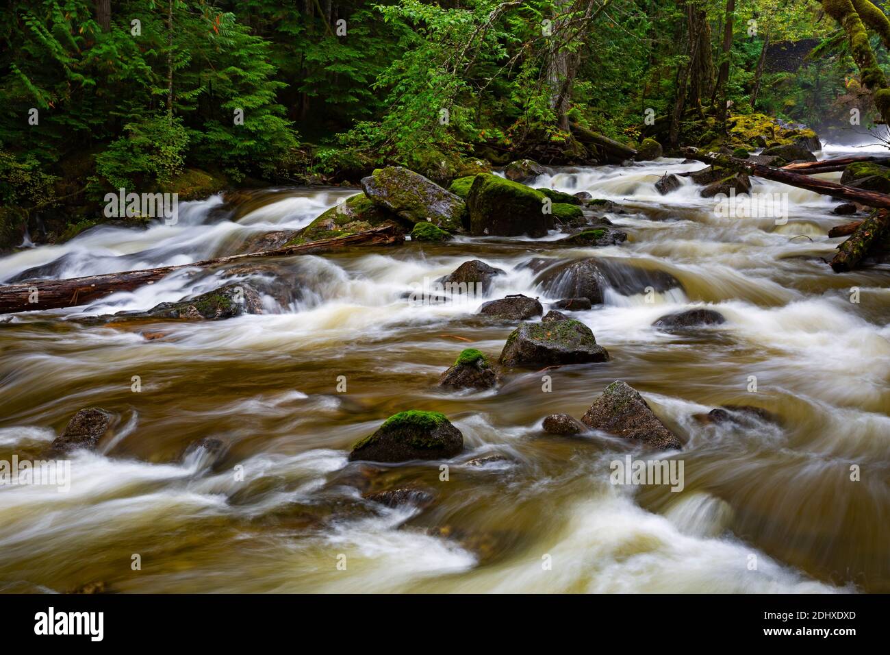 Tye river hi-res stock photography and images - Alamy