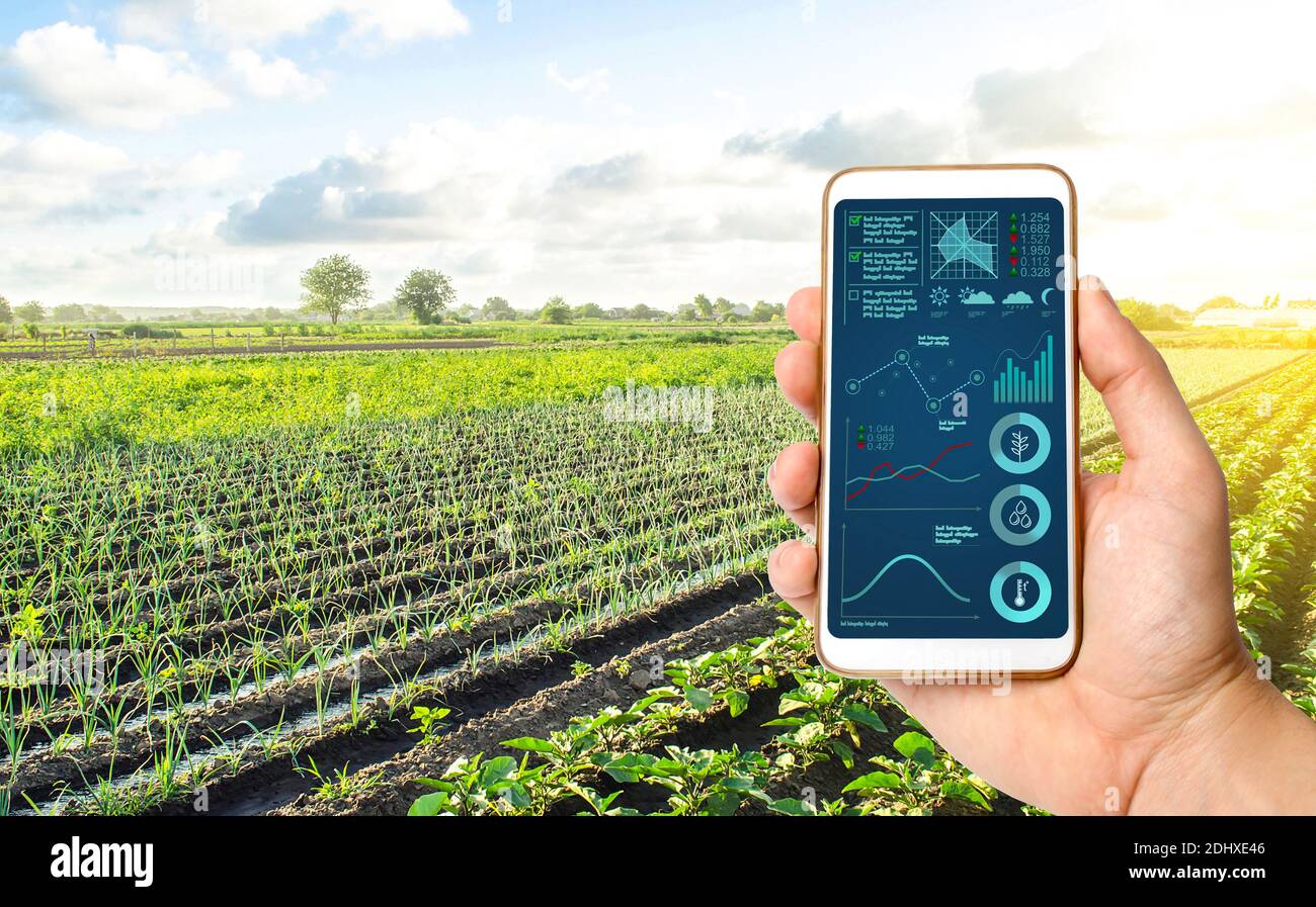 Phone with infographics on the background of a farm field plantation ...
