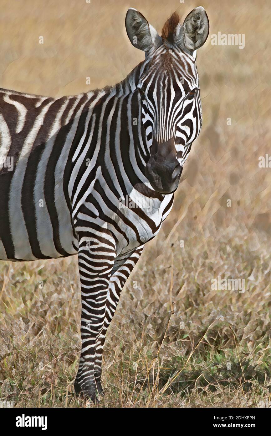 Habitat manipulation hi-res stock photography and images - Alamy