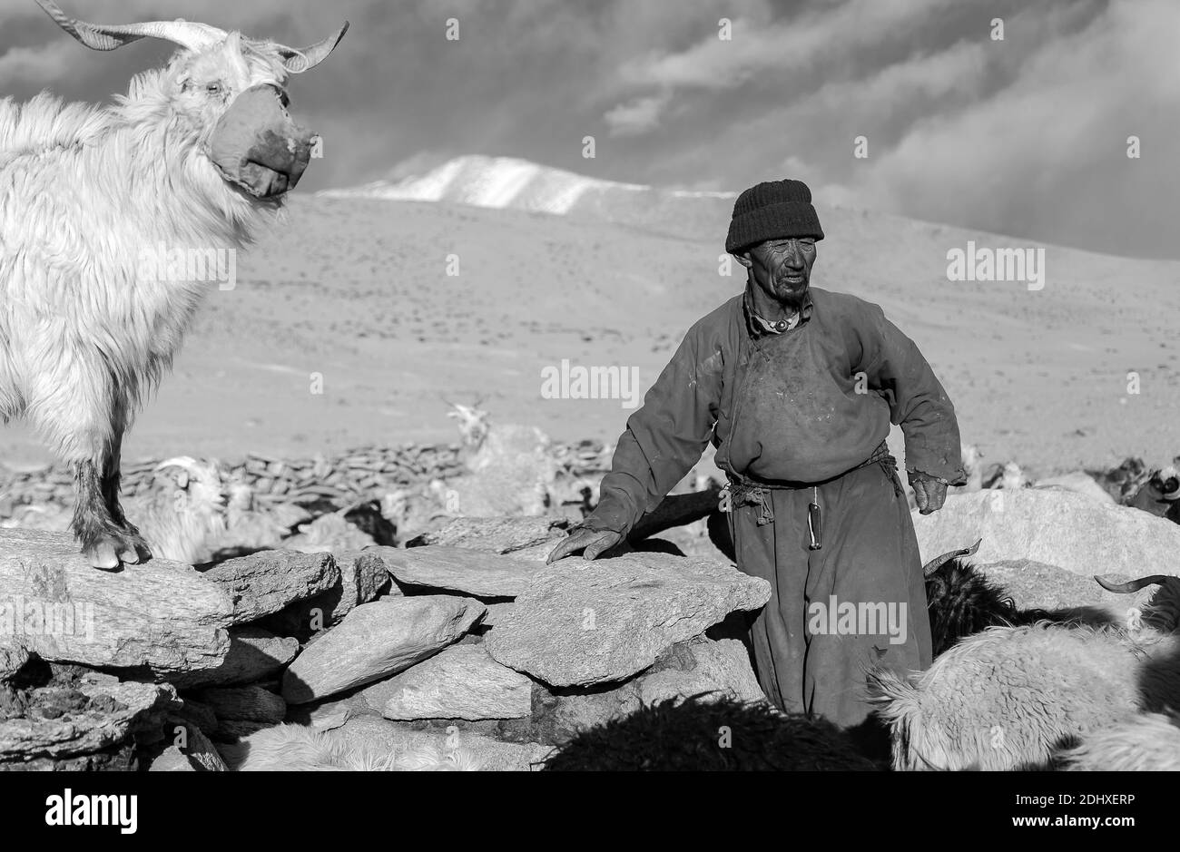 Gypsies nomadic nomads hi-res stock photography and images - Alamy