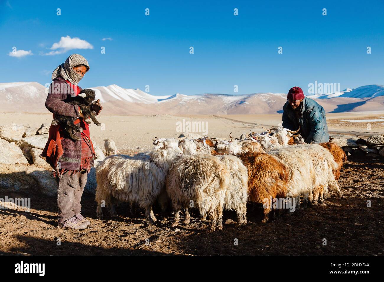 Gypsies nomadic nomads hi-res stock photography and images - Alamy