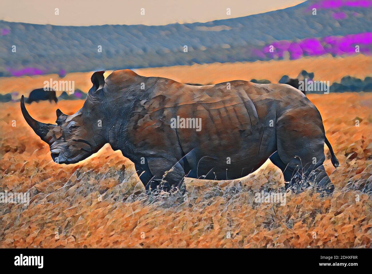 Rhino patterns hi-res stock photography and images - Alamy