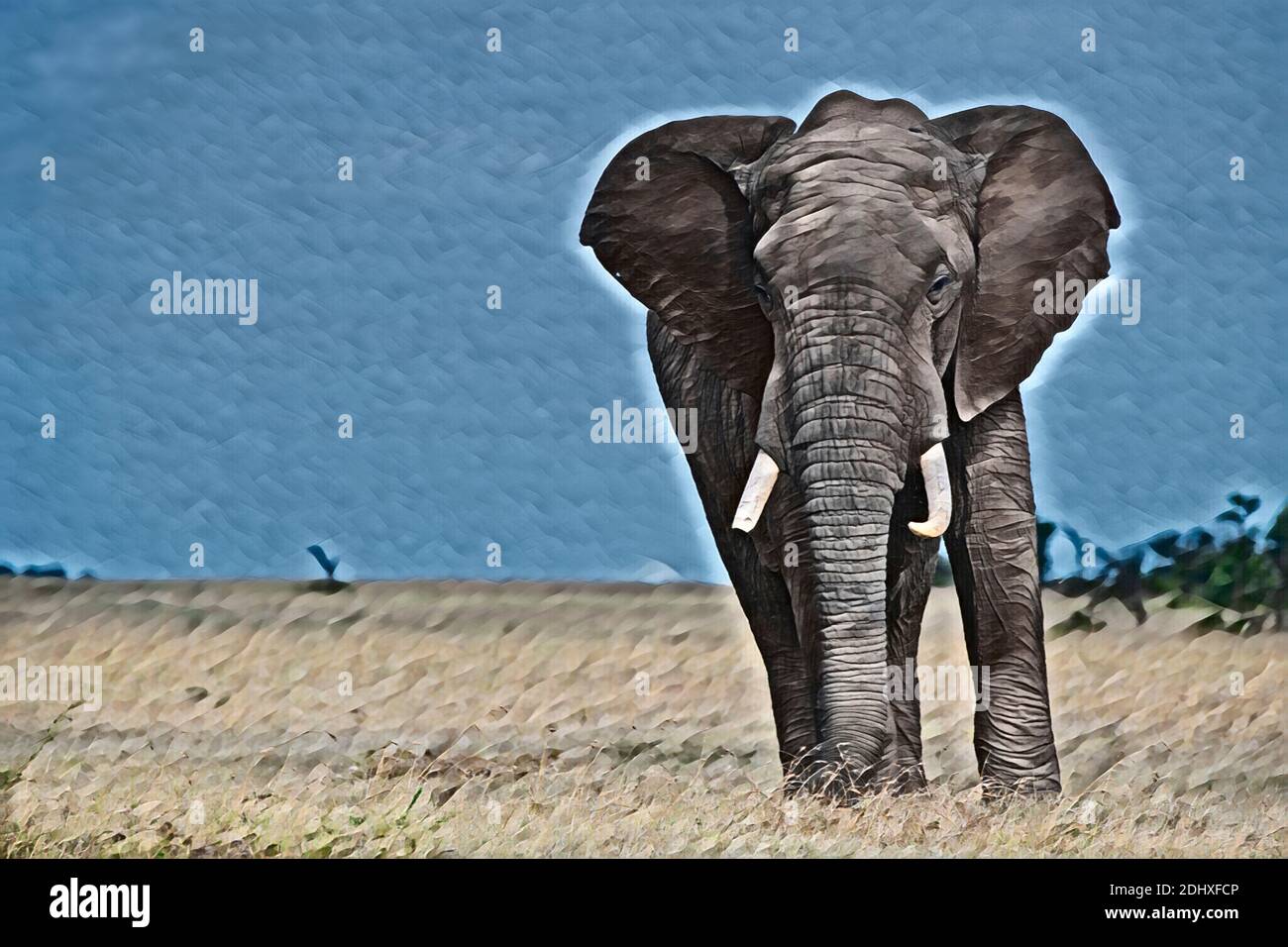 Africa, Kenya, Lone male African elephant (WILD: Loxodonta Africana ...