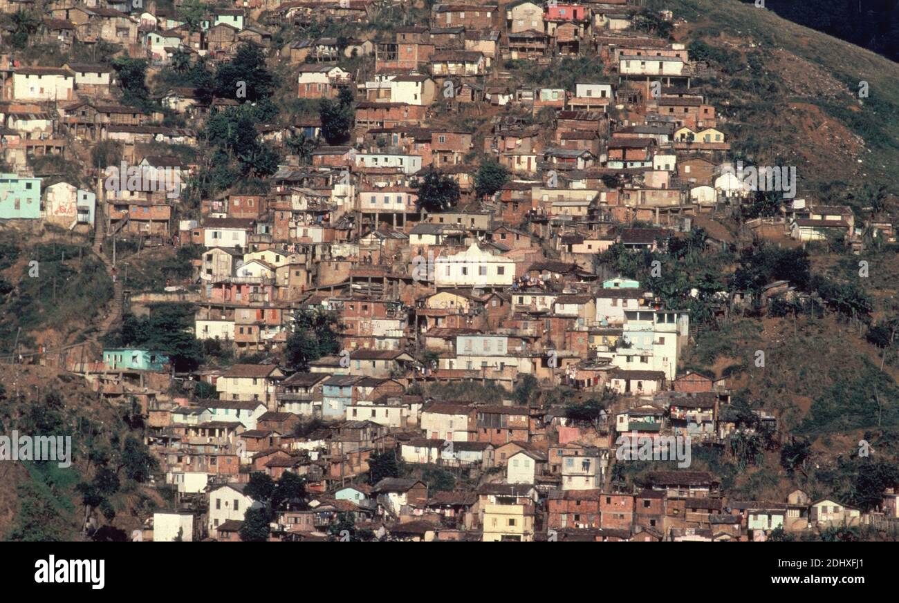 Brazilwood High Resolution Stock Photography and Images - Alamy