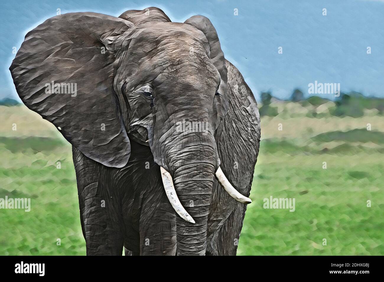 Elephant and computer hi-res stock photography and images - Alamy