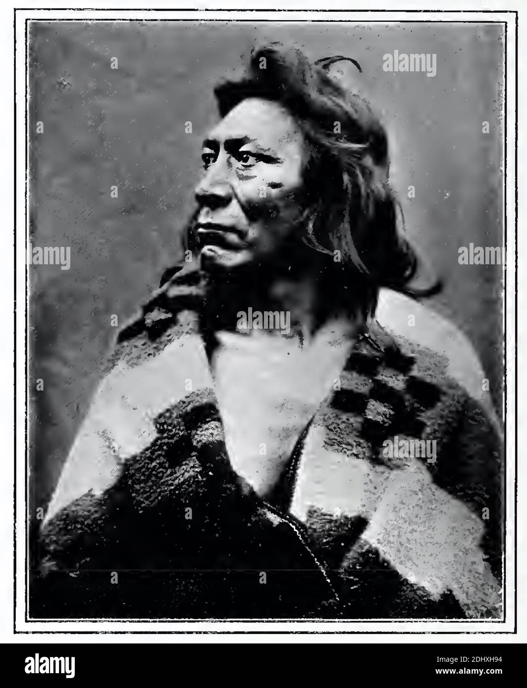 Cayuse hi-res stock photography and images - Alamy