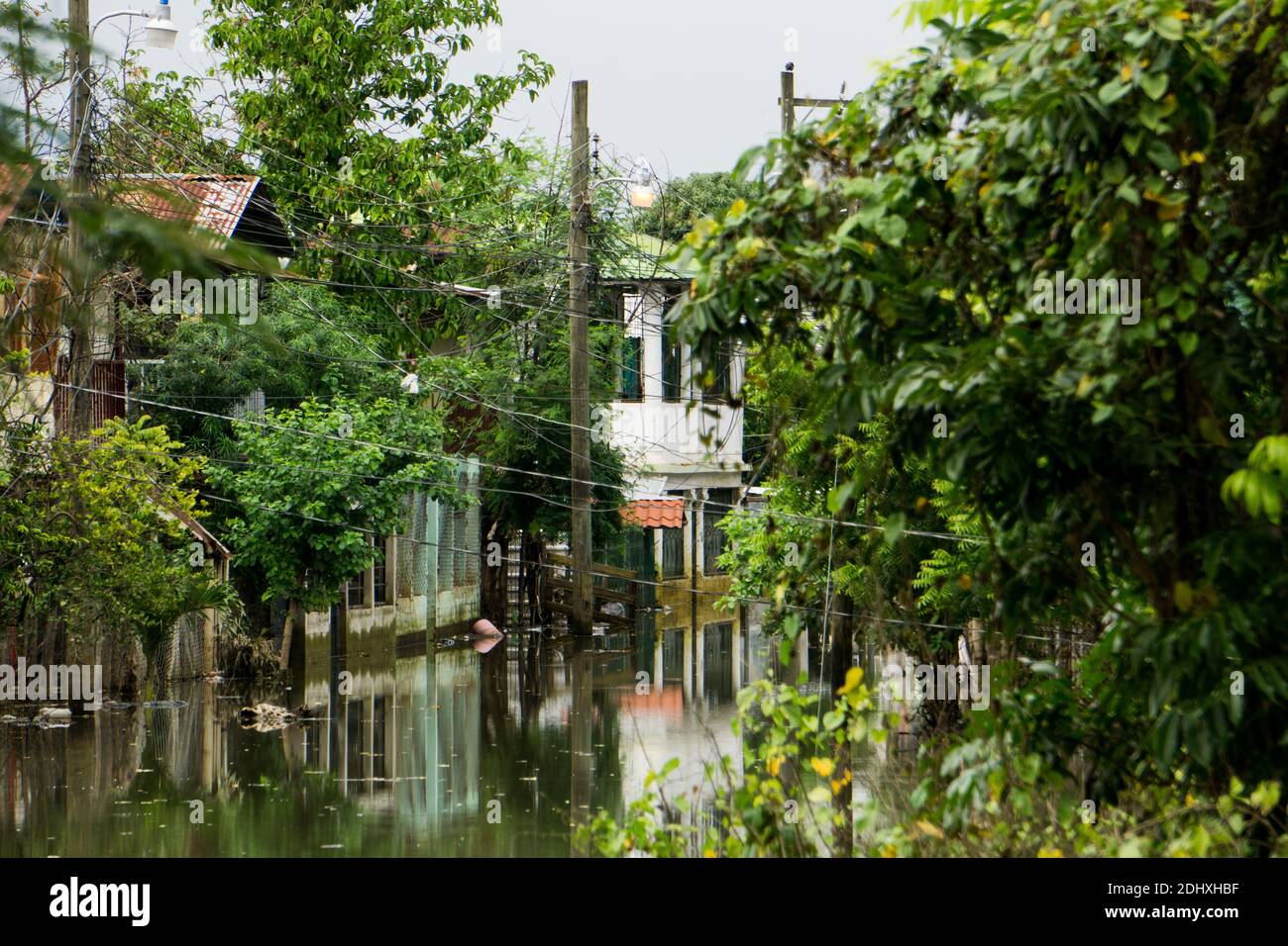 La lima honduras hi-res stock photography and images - Alamy