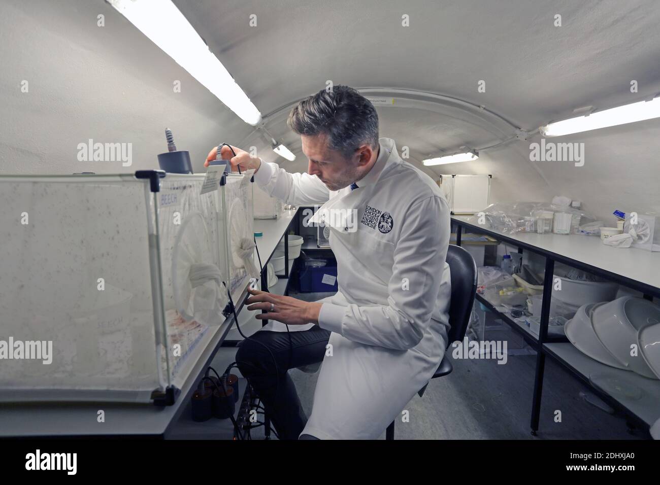 Insectaries High Resolution Stock Photography and Images - Alamy