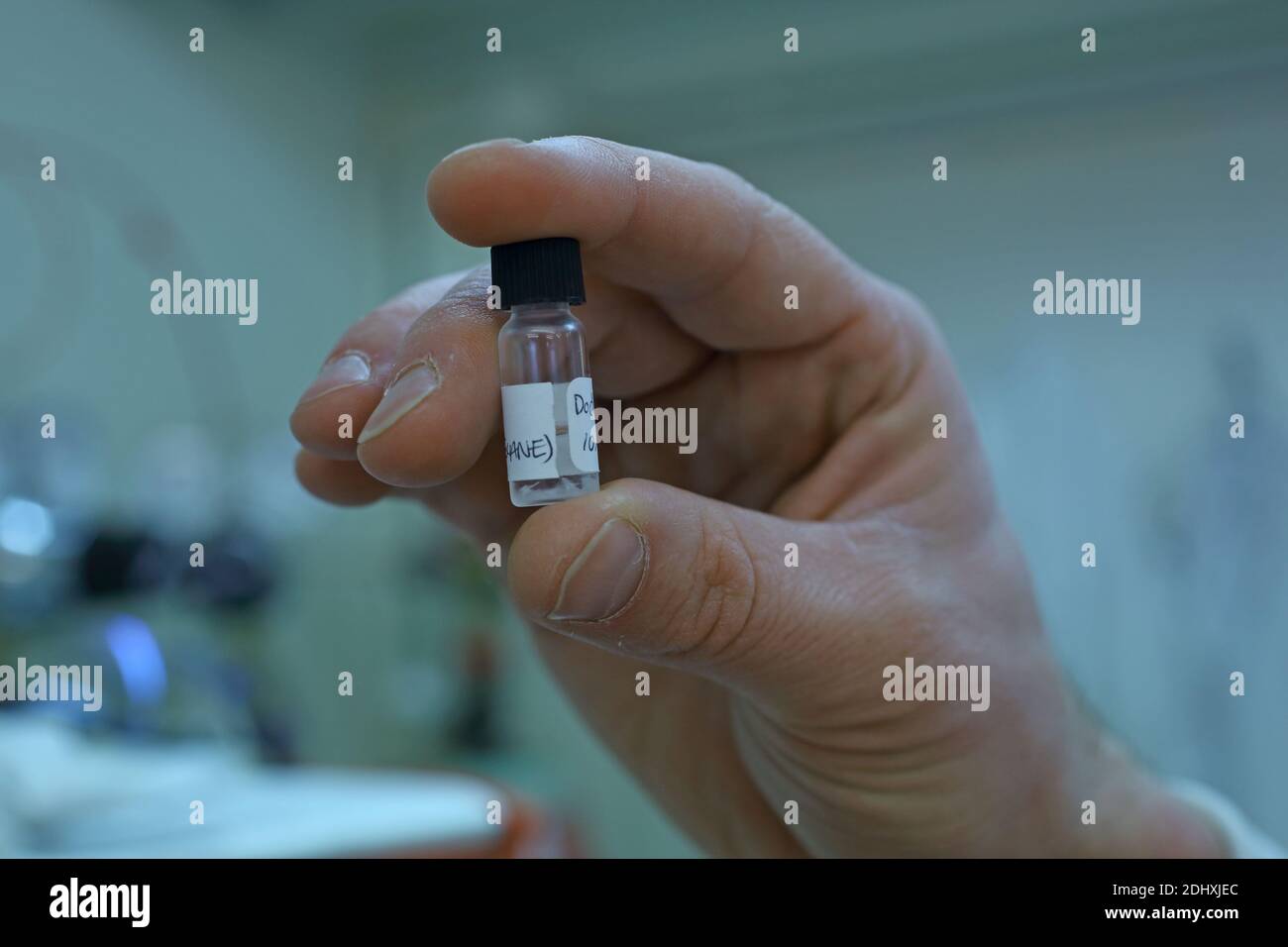 Sample of mosquitoes hi-res stock photography and images - Alamy