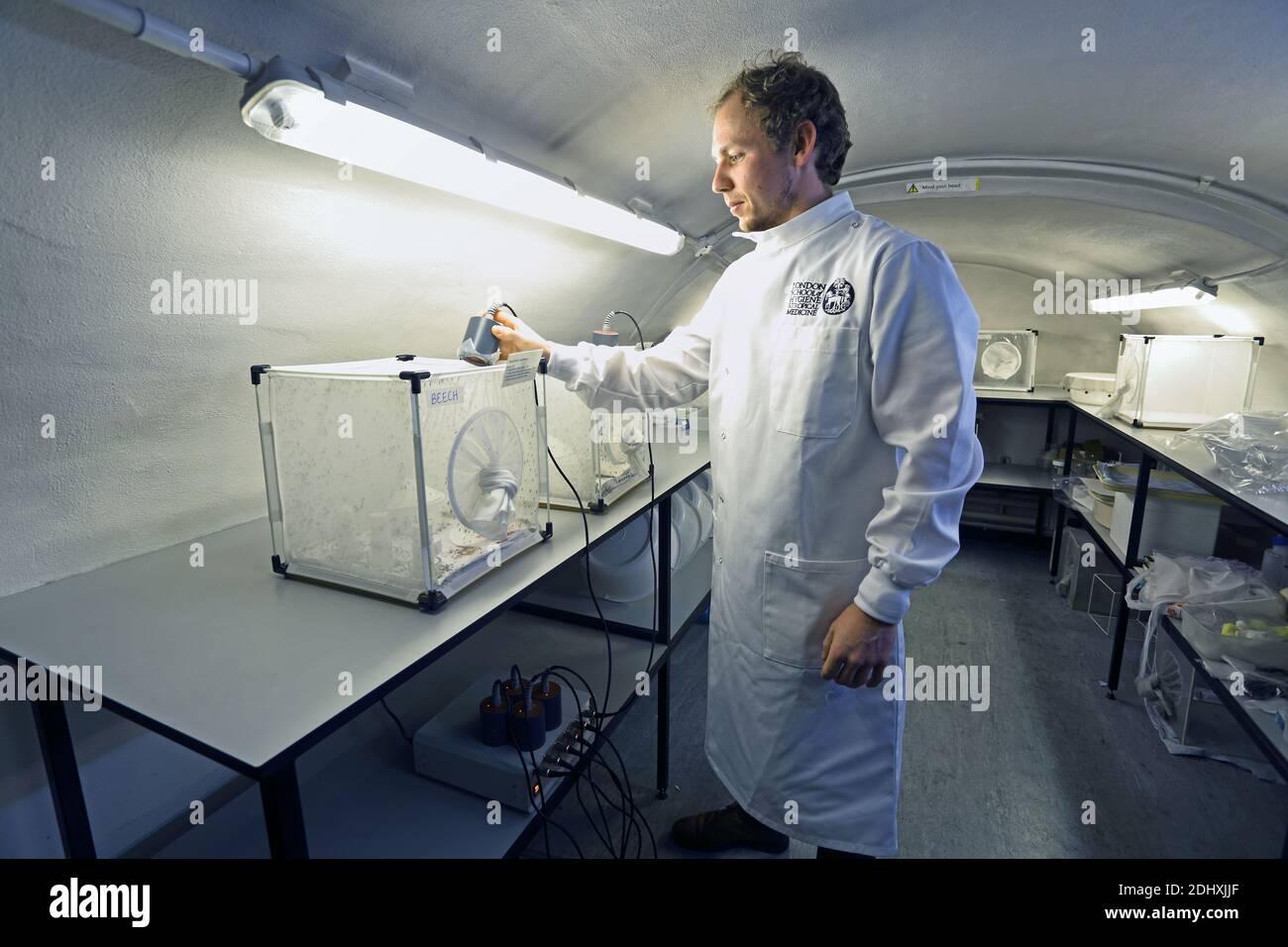 GREAT BRITAIN / England /London /London School of Hygiene & Tropical ...